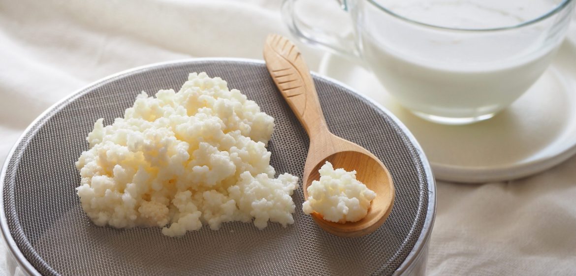 Blog - Guty Kefir | Australia’s Only Milk Kefir Fermented By Kefir Grains